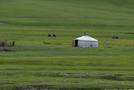Mongolian Round Tent Ger Yurt Lush Editorial Stock Photo - Stock Image ...
