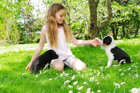 67 Girls with puppies Stock Pictures, Editorial Images and Stock Photos ...