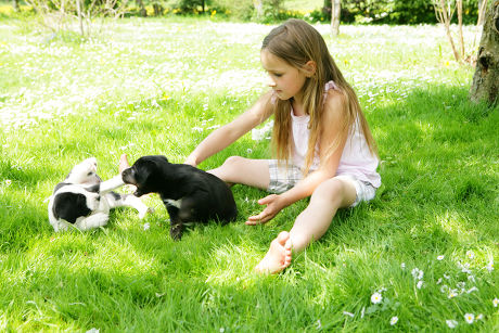 67 Girls with puppies Stock Pictures, Editorial Images and Stock Photos ...