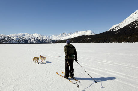 250 Alaskan man Stock Pictures, Editorial Images and Stock Photos ...