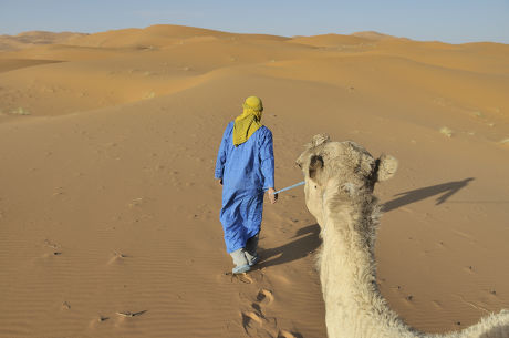 81 Camel guide Stock Pictures, Editorial Images and Stock Photos ...
