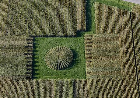 40 Corn circles Stock Pictures, Editorial Images and Stock Photos ...