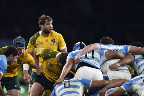 Ben Mccalman Australia Looks On Scrum Editorial Stock Photo - Stock ...