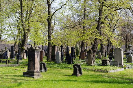 250 Burial trees Stock Pictures, Editorial Images and Stock Photos ...