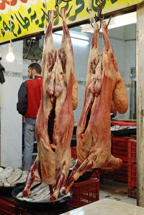 Freshly Slaughtered Mutton Souk Damaskus Bazaar Editorial Stock Photo - Stock Image | Shutterstock