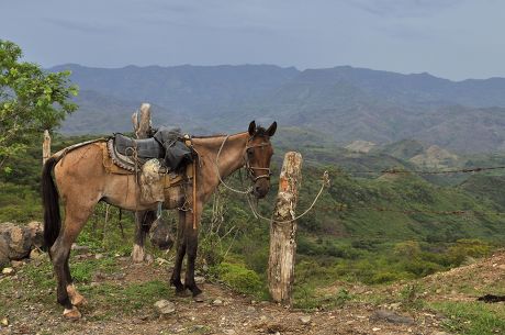 82 Saddle area Stock Pictures, Editorial Images and Stock Photos ...