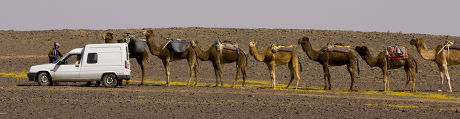 63 Camel trains Stock Pictures, Editorial Images and Stock Photos ...