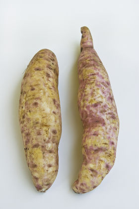 22 Tropical tubers Stock Pictures, Editorial Images and Stock Photos ...