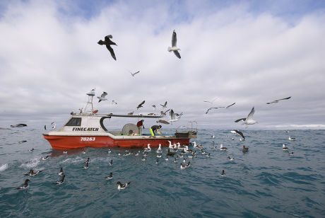 250 Commercial fishing boats Stock Pictures, Editorial Images and Stock ...