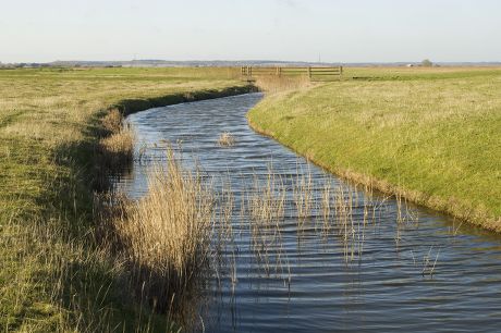 Wetland Drainage Ditch Pasture Brookland Romney Editorial Stock Photo ...