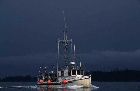 250 Commercial fishing boats Stock Pictures, Editorial Images and Stock ...
