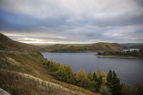500 Llyn Stock Pictures, Editorial Images and Stock Photos | Shutterstock