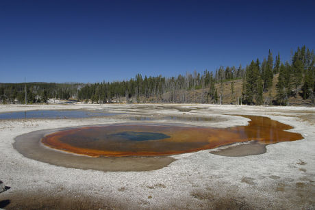 Hot Springs Chromatic Pool Upper Geyser Editorial Stock Photo - Stock ...