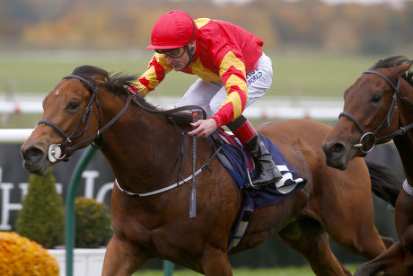 Only Mine Pat Smullen Winning Irish Editorial Stock Photo - Stock Image ...