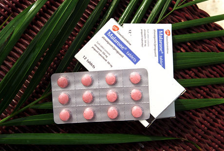 One Most Popular Anti Malaria Tablets Editorial Stock Photo - Stock ...