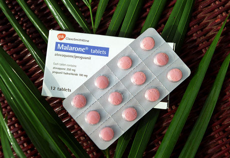 One Most Popular Anti Malaria Tablets Editorial Stock Photo - Stock ...