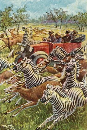 18 Arthur hartman Stock Pictures, Editorial Images and Stock Photos ...