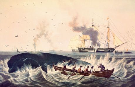 250 Longboat Stock Pictures, Editorial Images and Stock Photos ...