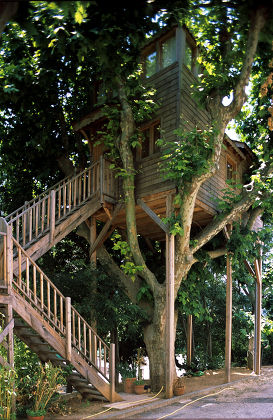 Double Tree House Mezzanine Small Terrace Editorial Stock Photo - Stock ...