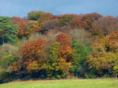 47 Culham court deer park Stock Pictures, Editorial Images and Stock ...