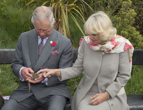 Prince Charles Wearing Virtual Reality Headset Editorial Stock Photo ...