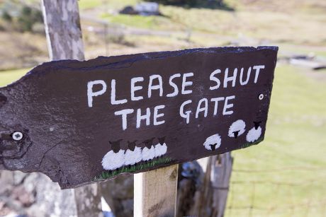 48 Culter Stock Pictures, Editorial Images and Stock Photos | Shutterstock
