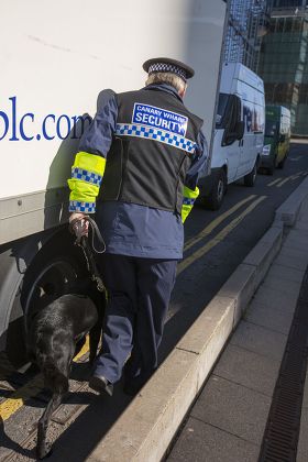 Sniffer Dog Checking Trucks Bombs Entering Editorial Stock Photo ...