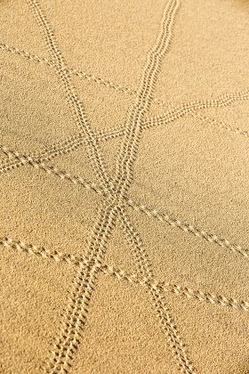 250 Heat ripples Stock Pictures, Editorial Images and Stock Photos ...
