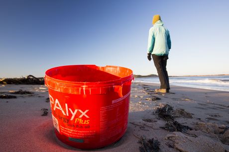 250 Garbage bucket Stock Pictures, Editorial Images and Stock Photos ...