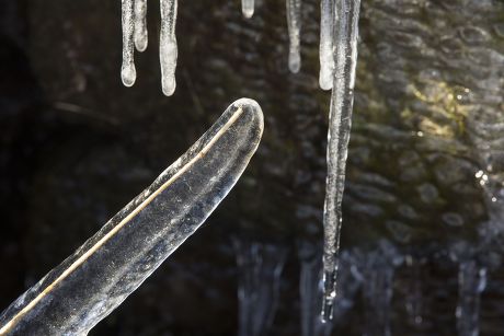 500 Ice coated Stock Pictures, Editorial Images and Stock Photos ...