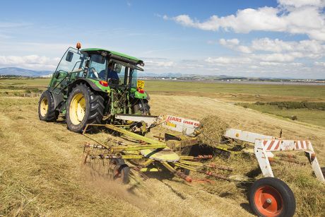86 Hay gathering Stock Pictures, Editorial Images and Stock Photos ...
