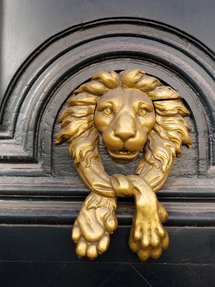 2 Fnarr Stock Pictures, Editorial Images and Stock Photos | Shutterstock