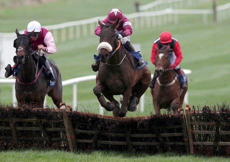 Clonmel Racing, Clonmel Racecourse, Co. Tipperary - 12 Nov 2015 Stock ...