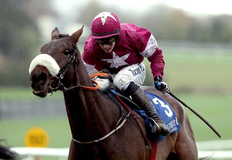 Clonmel Racing, Clonmel Racecourse, Co. Tipperary - 12 Nov 2015 Stock ...