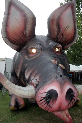 Inflatable Boar Editorial Stock Photo - Stock Image | Shutterstock