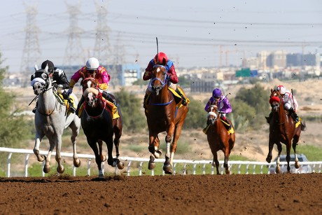 Horse Racing from Jebel Ali, Dubai, United Arab Emirates - 13 Nov 2015 ...