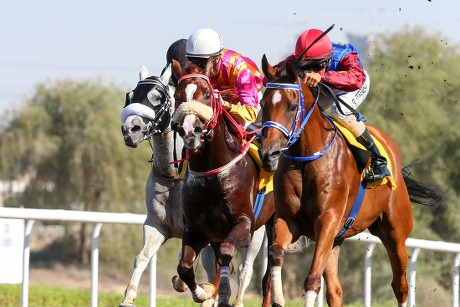 imágenes de Horse Racing from Jebel Ali, Dubai, United Arab Emirates ...