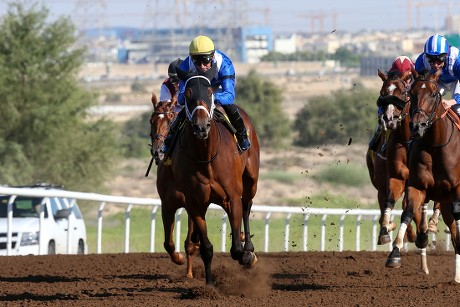 Horse Racing from Jebel Ali, Dubai, United Arab Emirates - 13 Nov 2015 ...