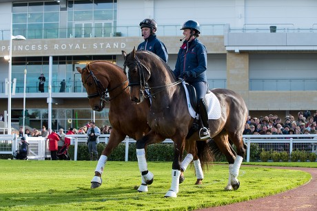 Champion Jockey Tony Mccoy Receives Dressage Editorial Stock Photo ...