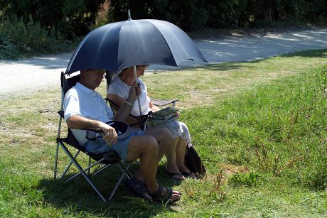 Soaking Sun Editorial Stock Photo - Stock Image | Shutterstock