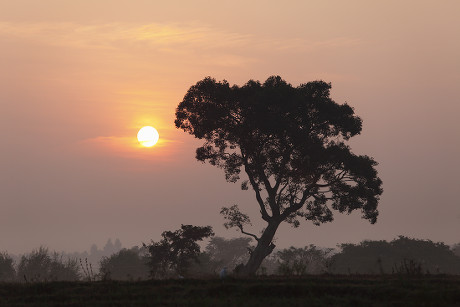 Sunrise Coorg Karnataka South India India Editorial Stock Photo - Stock ...