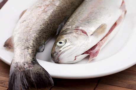 38 Eating fish eyes Stock Pictures, Editorial Images and Stock Photos ...