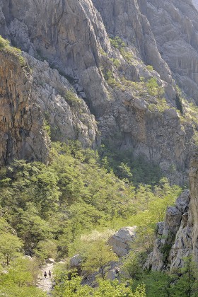 View Into Velika Paklenica Canyon Hikers Editorial Stock Photo - Stock ...