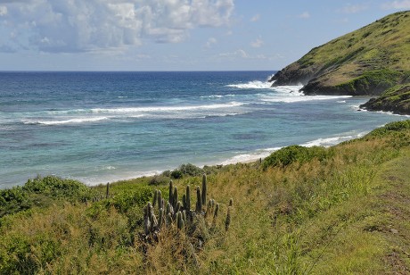 Coastal Formation Point Udall Easternmost Point Editorial Stock Photo ...