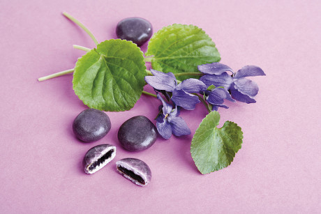 Violets Violet Pastilles Editorial Stock Photo - Stock Image | Shutterstock