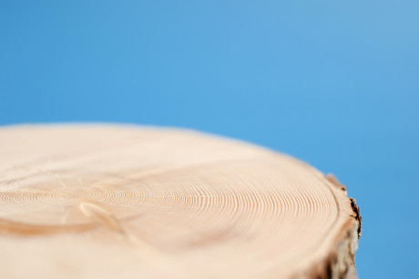 64 Annuluses Stock Pictures, Editorial Images and Stock Photos ...
