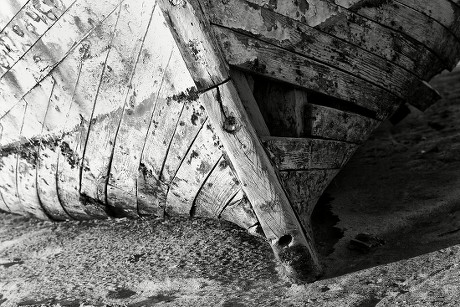 64 Rottened Stock Pictures, Editorial Images and Stock Photos ...