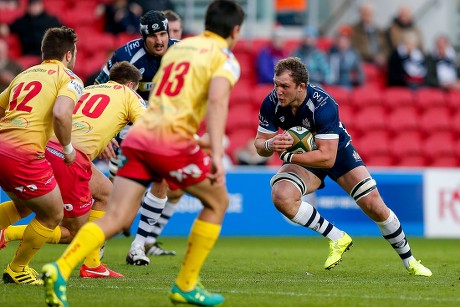 Bristol Rugby Flanker Nick Koster Action Editorial Stock Photo - Stock ...