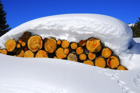 59 Thick snow cover Stock Pictures, Editorial Images and Stock Photos ...