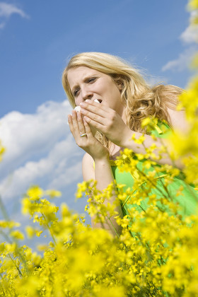 36 Pollinosis Stock Pictures, Editorial Images and Stock Photos ...